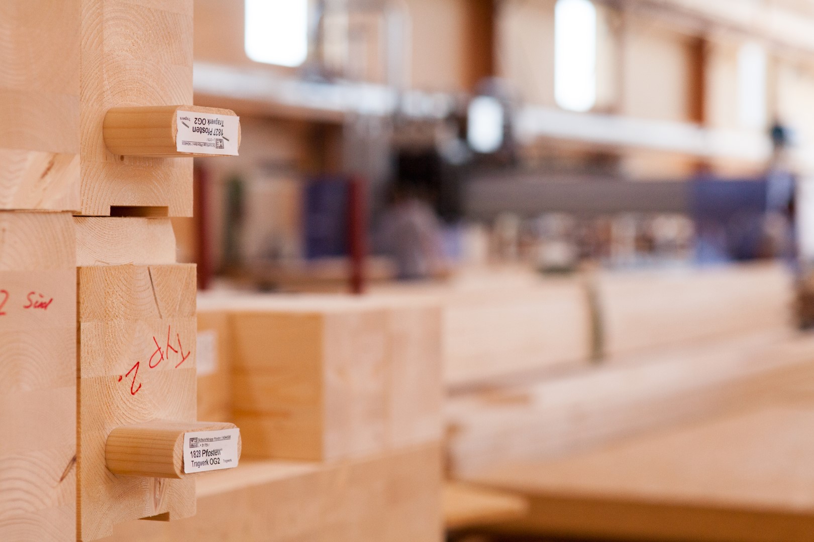 Lehrstellen | hector-egger.ch